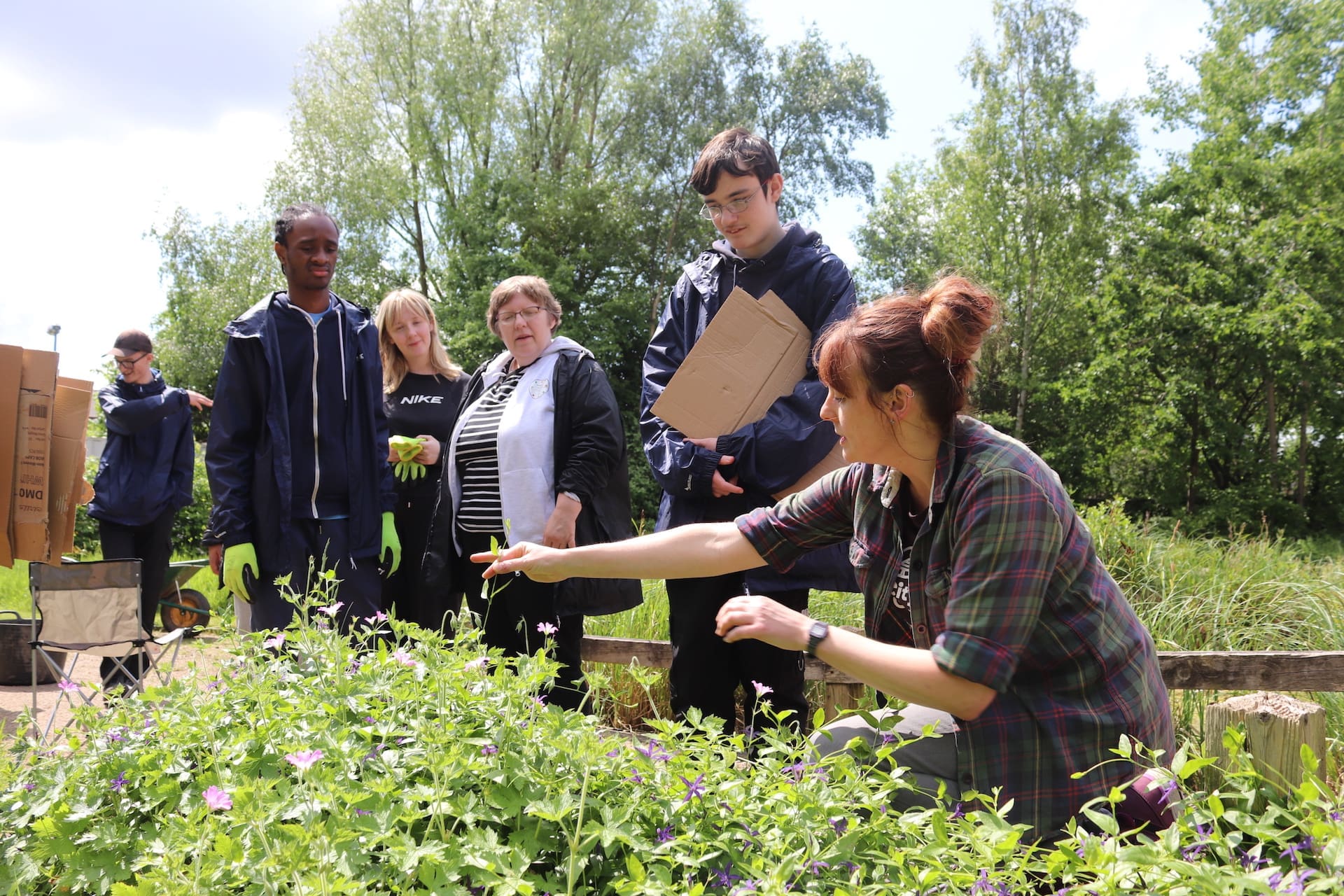 Multistory – Transforming Urban Spaces with Community-Led Greening ...